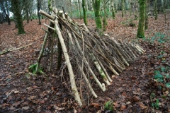 Shelter Building – Learning in the Leaves