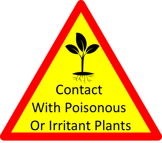 Flora and Fauna – Health and Safety – Learning in the Leaves