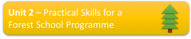 Portfolio Direct Links – Learning in the Leaves