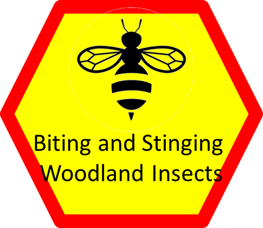 Insect Bites and Stings – Learning in the Leaves