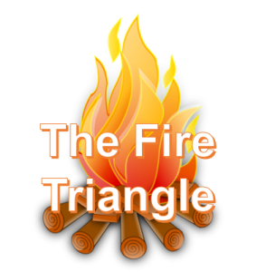 Fire Lighting and Management – Learning in the Leaves