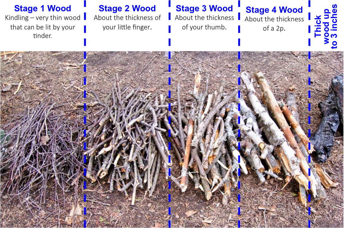 Fire Wood – Learning in the Leaves