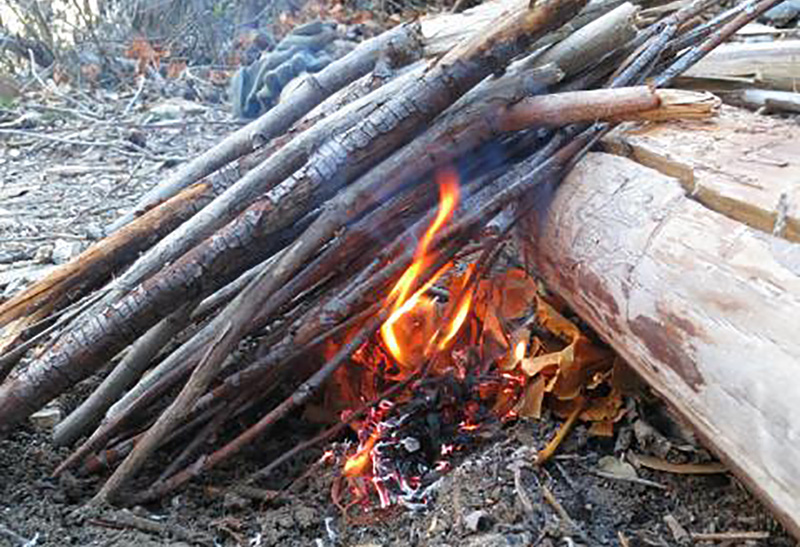 Build – Learning in the Leaves