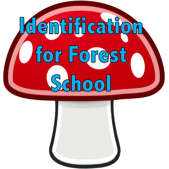 Flora and Fauna – Learning in the Leaves